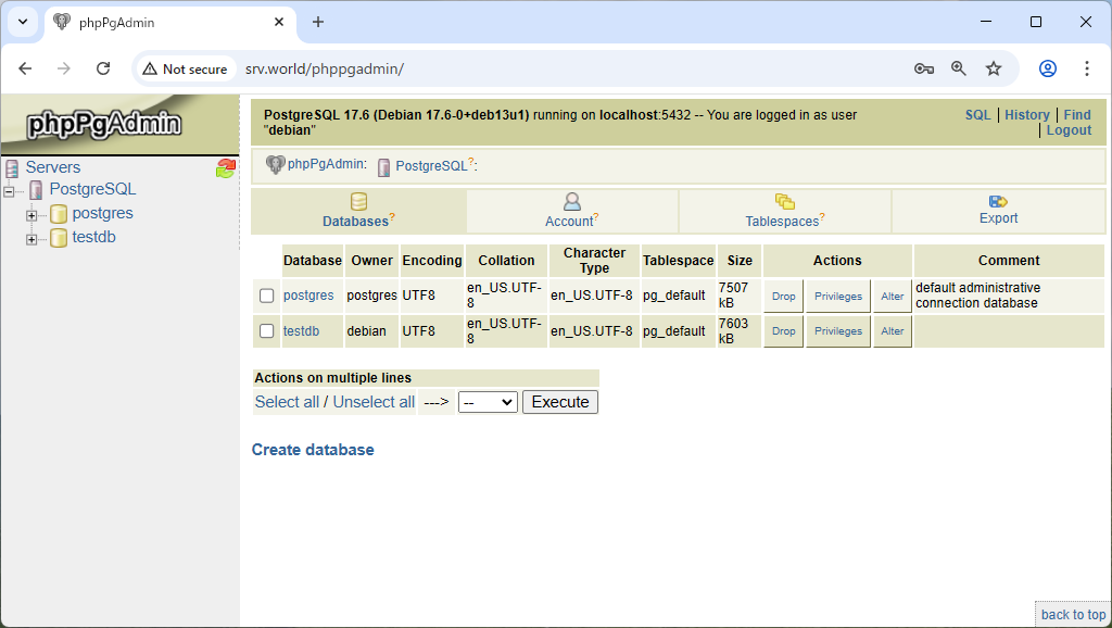 Debian 13 trixie : PostgreSQL 17 : phpPgAdmin インストール : Server World