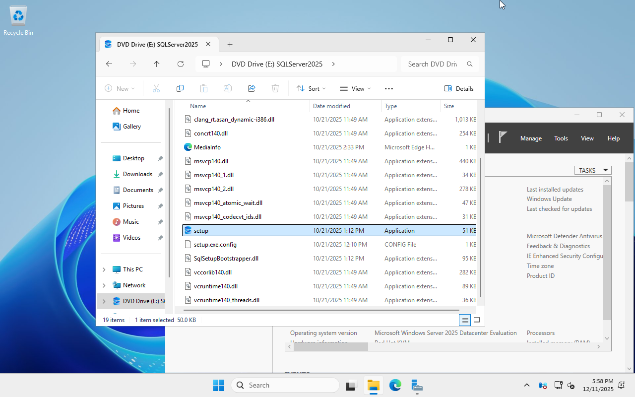 Windows Server 2025 : SQL Server 2025 : インストール : Server World