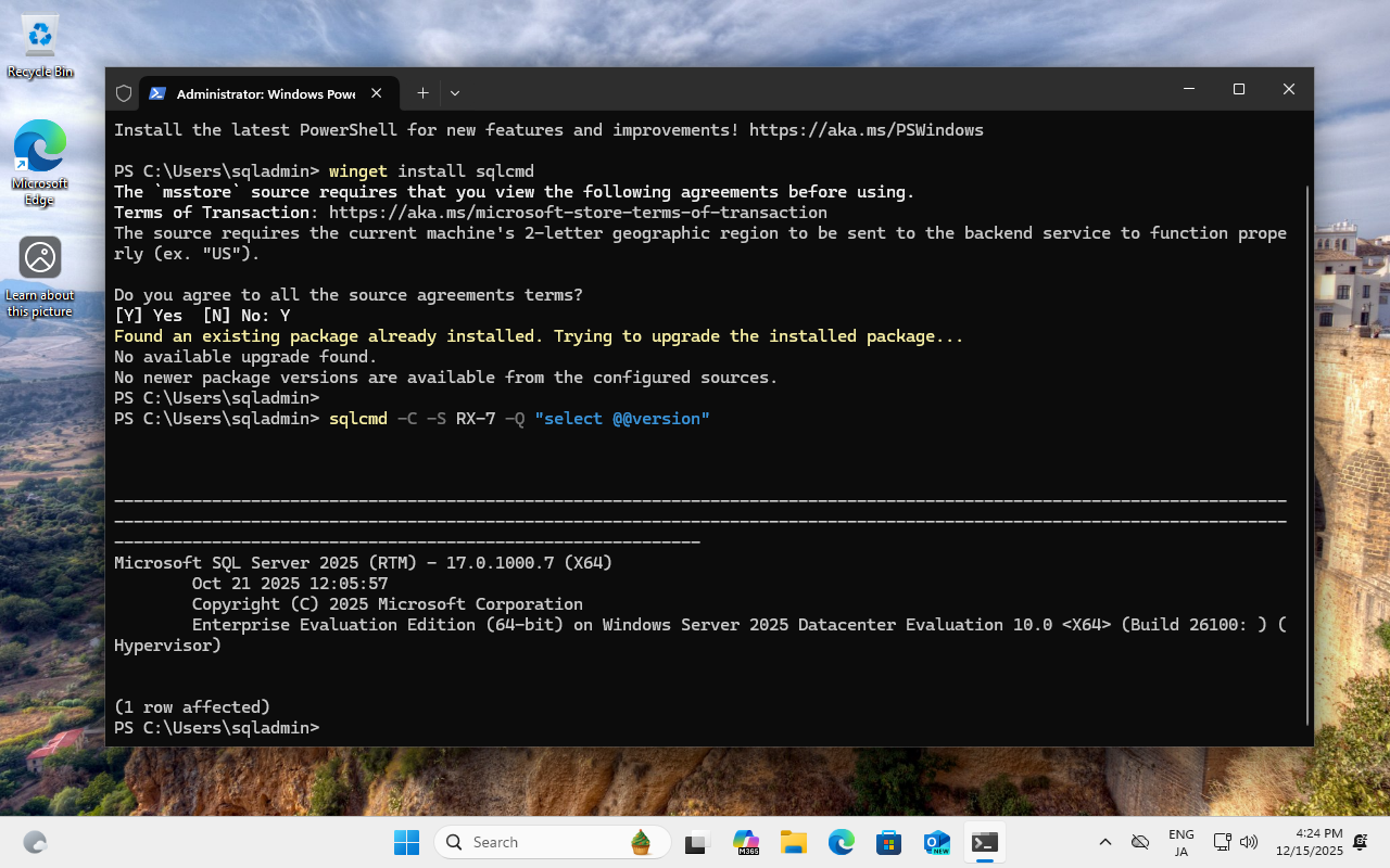 Windows Server 2025 : SQL Server 2025 : リモートホストから接続 : Windows 認証 : Server World