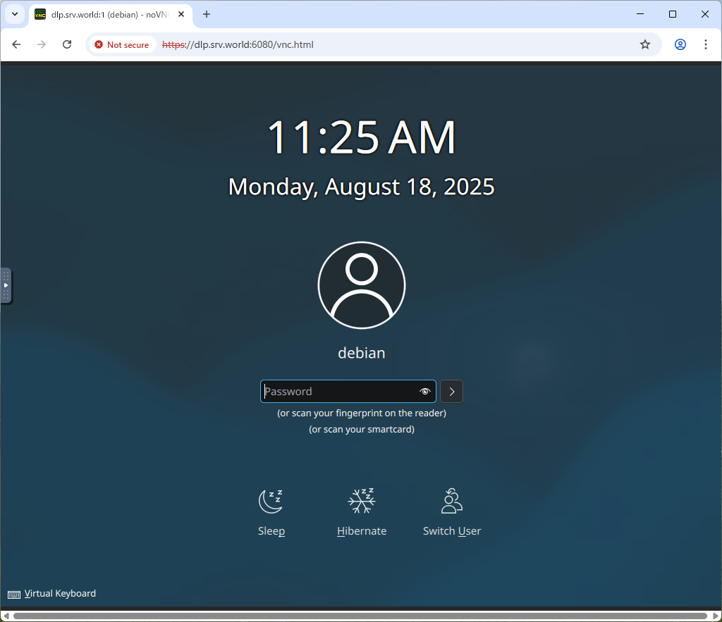 Debian 13 trixie : Install noVNC : Server World