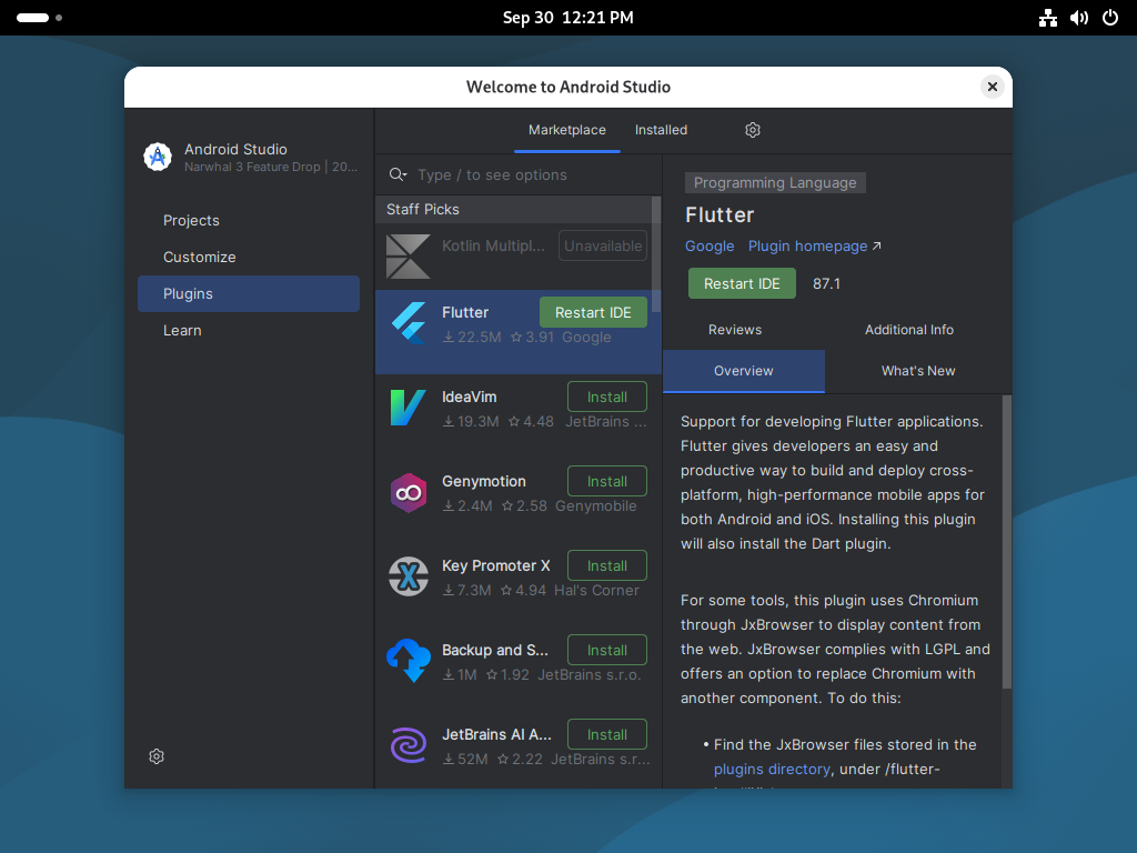Debian 13 trixie : Install Flutter : Server World