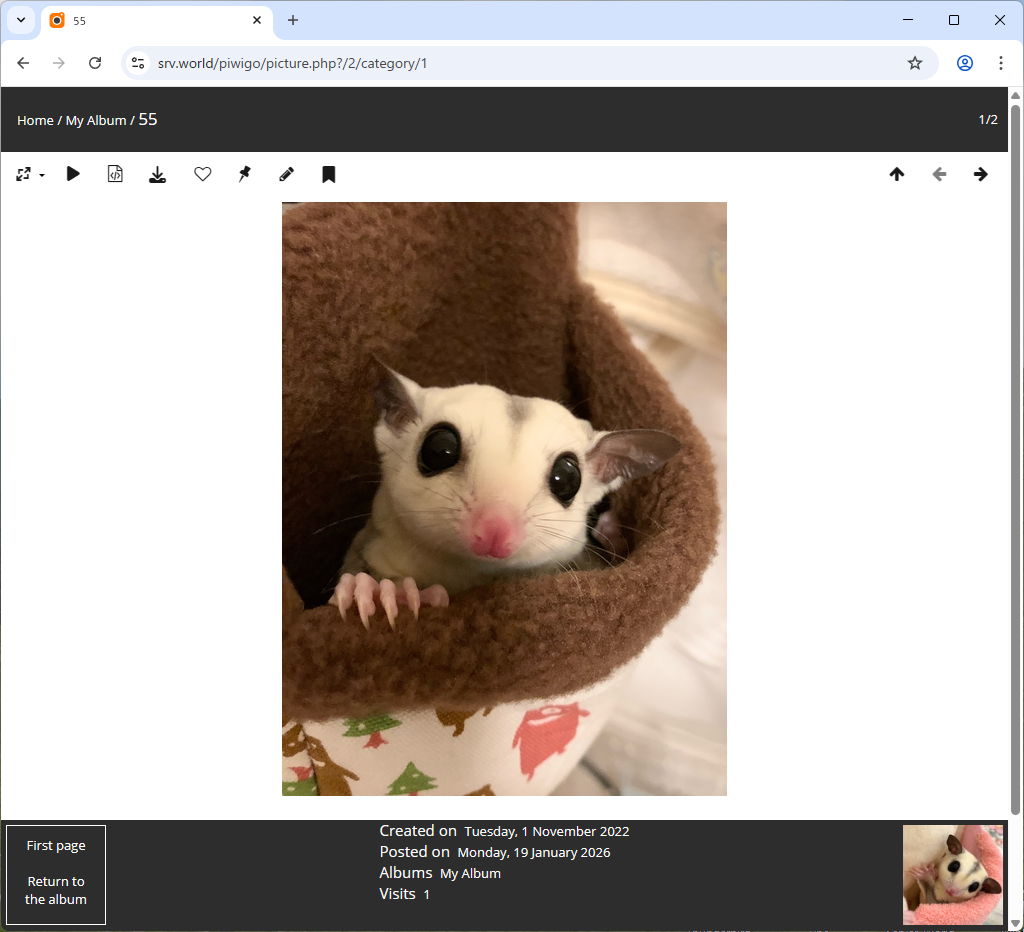 FreeBSD 15 : Apache httpd : Photo Gallery : Piwigo : Server World