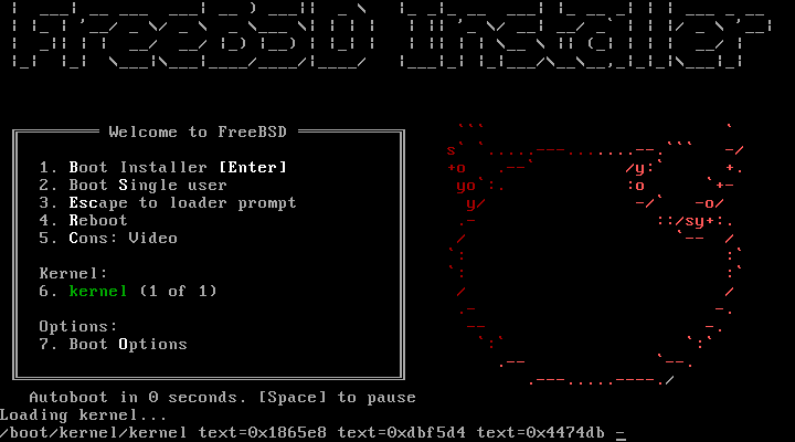 FreeBSD 15 : Install : Server World