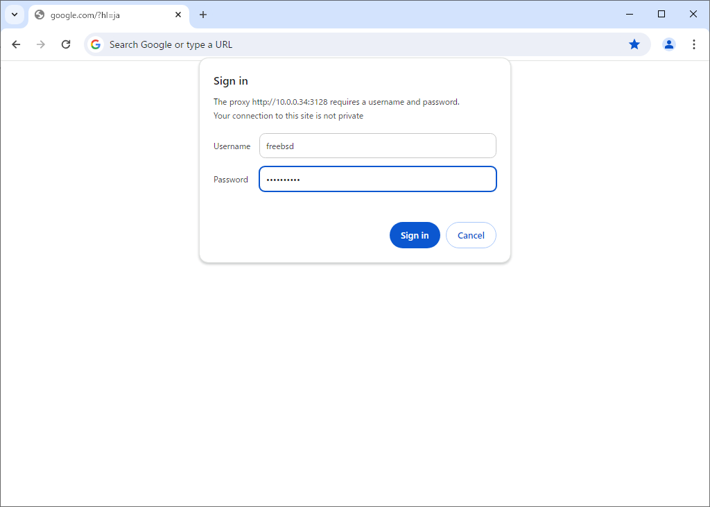 FreeBSD 15 : Squid : Basic Authentication : Server World
