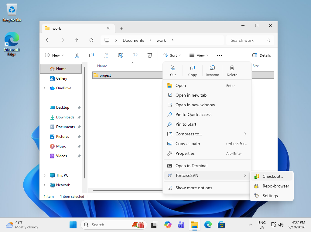 FreeBSD 15 : Subversion : Access from Windows Clients : Server World