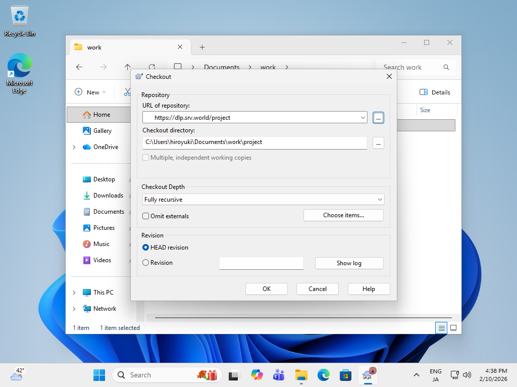FreeBSD 15 : Subversion : Access from Windows Clients : Server World