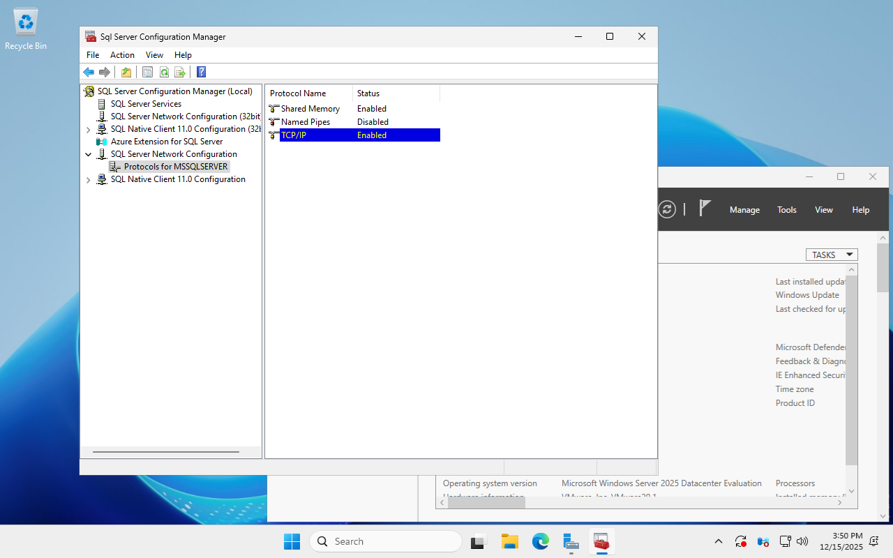 Windows Server 2025 : SQL Server 2025 : Remote connection (SQL Server Auth) : Server World