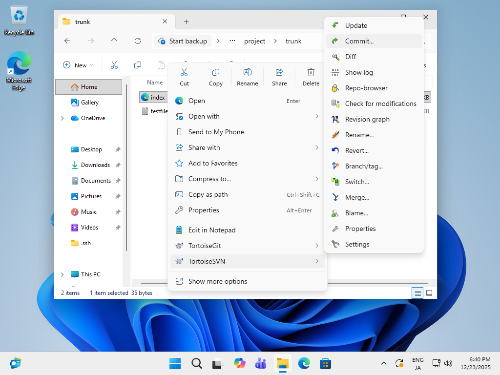 openSUSE Leap 16 : Subversion : Access from Windows Clients : Server World